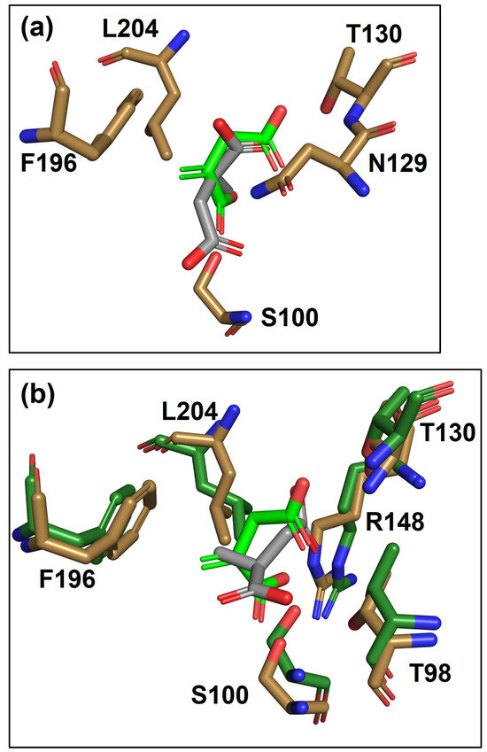 Directed Evolution of Protein-Based Sensors for Anaerobic Biological ...