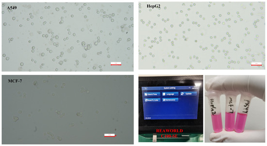 Biosensor with Microchannel for Broadband Dielectric Characterization ...