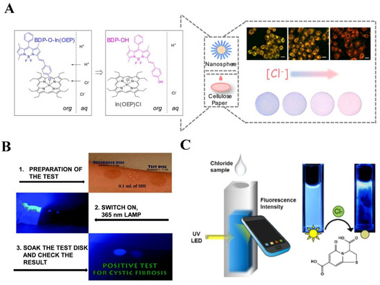 Luminescence Probes in Bio-Applications: From Principle to Practice