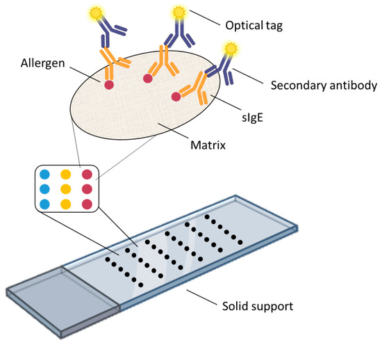 Allergen Microarrays and New Physical Approaches to More Sensitive and ...