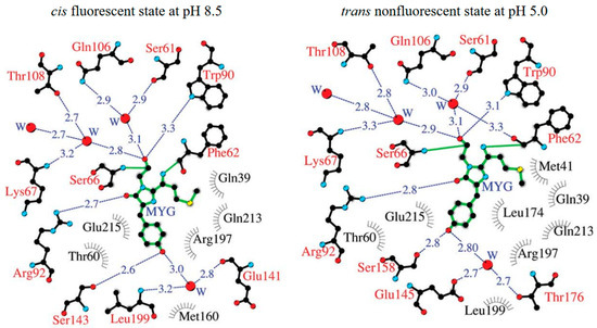 Far-Red Fluorescent Proteins: Tools for Advancing In Vivo Imaging