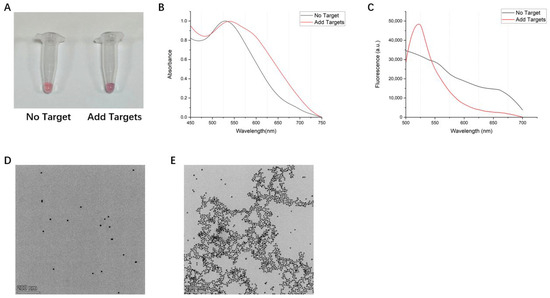 Using AuNPs-DNA Walker with Fluorophores Detects the Hepatitis Virus ...