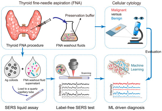 Label-Free Surface-Enhanced Raman Spectroscopy with Machine Learning ...