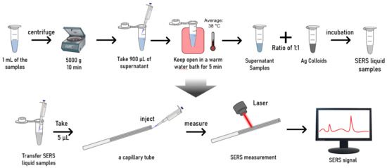 Label-Free Surface-Enhanced Raman Spectroscopy with Machine Learning ...