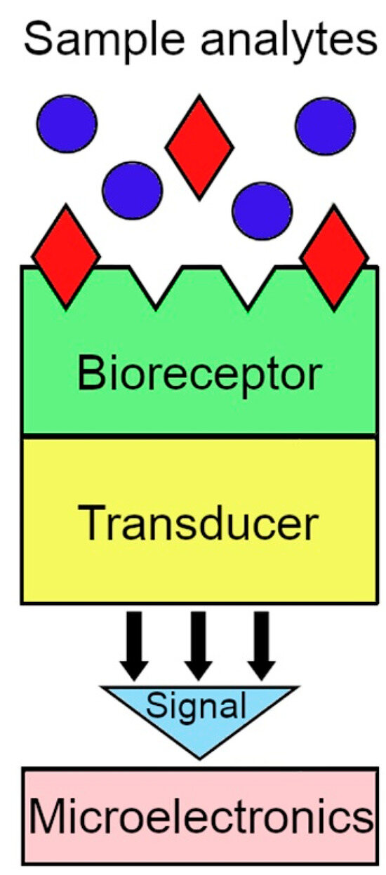 Fire up Biosensor Technology to Assess the Vitality of Trees after ...