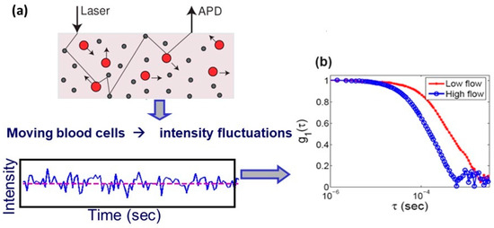 Biosensors | Free Full-Text | A Device-on-Chip Solution for Real-Time Diffuse Correlation ...