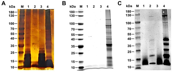 Development and Application of Colloidal Gold Test Strips for the Rapid ...