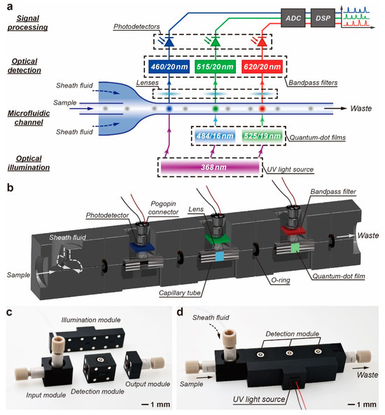 A Miniature Modular Fluorescence Flow Cytometry System