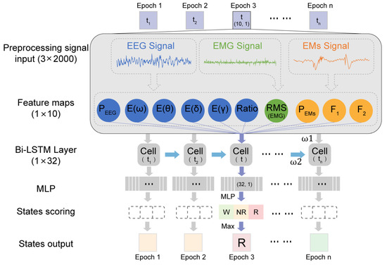 Biosensors | Free Full-Text | MLS-Net: An Automatic Sleep Stage Classifier Utilizing Multimodal ...