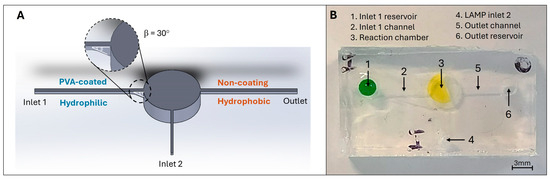 A Finger-Actuated Sample-Dosing Capillary-Driven Microfluidic Device ...