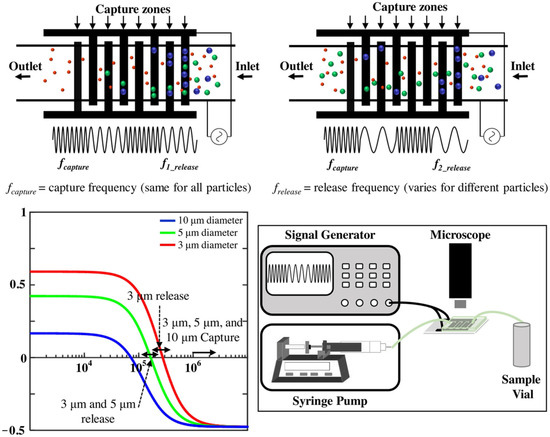 Recent Advances in Dielectrophoretic Manipulation and Separation of ...