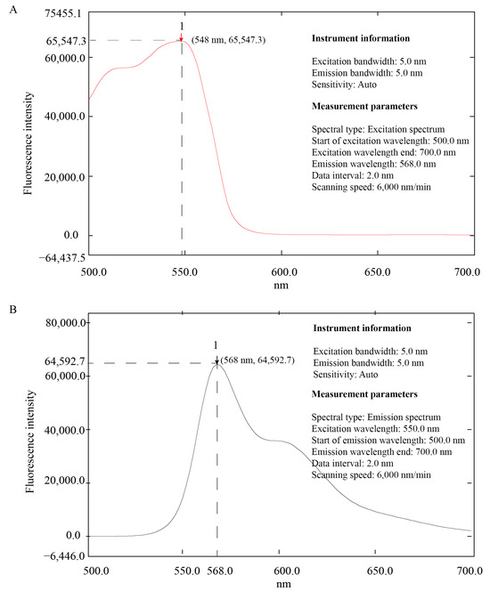 Mitochondrial Labeling with Mulberrin-Cy3: A New Fluorescent Probe for ...