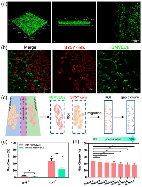 Tumor Microenvironment Based on Extracellular Matrix Hydrogels for On ...