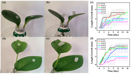 Investigation of Interferences of Wearable Sensors with Plant Growth