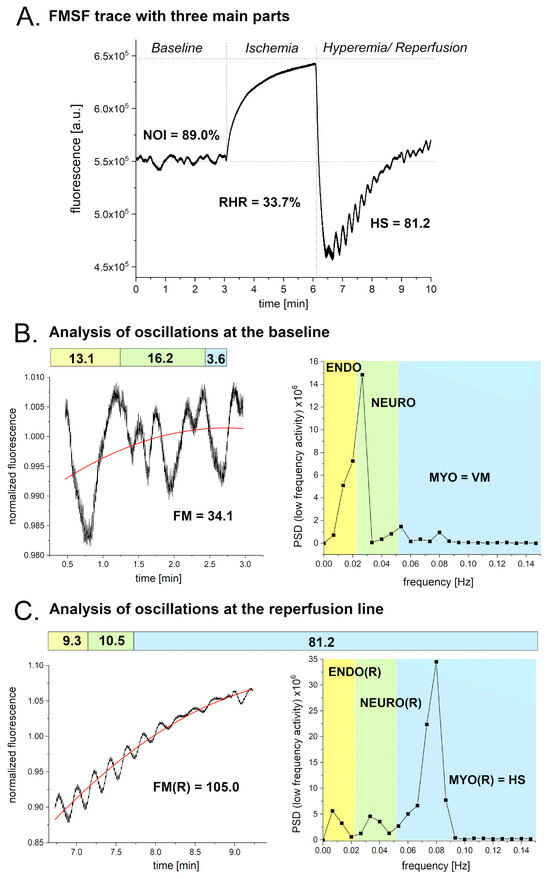 Assessment of Microvascular Function Based on Flowmotion Monitored by ...