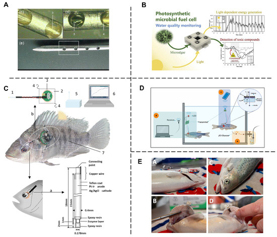 A Review of Advanced Sensor Technologies for Aquatic Products Freshness ...