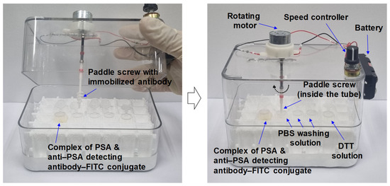 Fluorescence Immunoassay of Prostate-Specific Antigen Using 3D Paddle ...