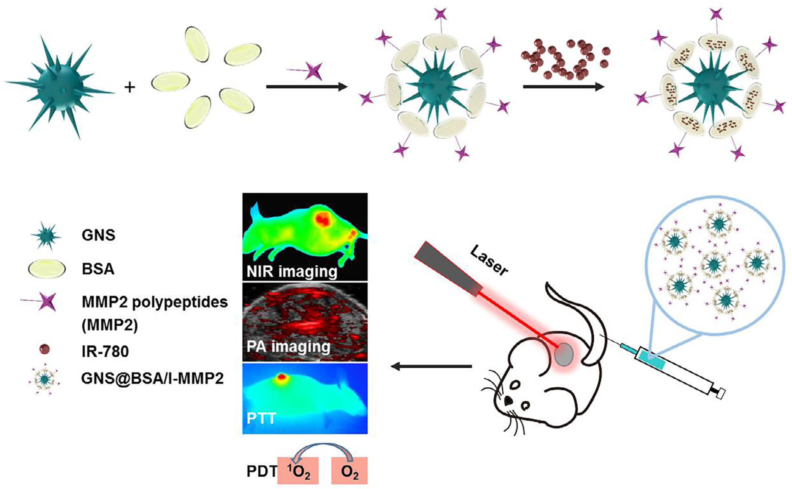 Progression in Near-Infrared Fluorescence Imaging Technology for Lung ...