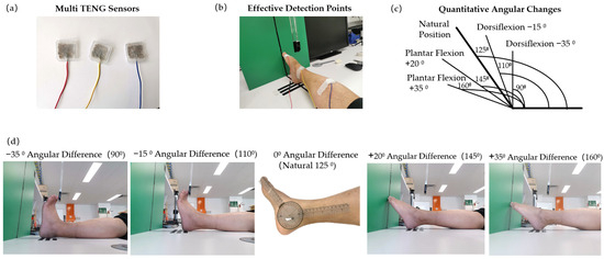 Utilizing Multiple Triboelectric Nanogenerator Sensors and Signal ...