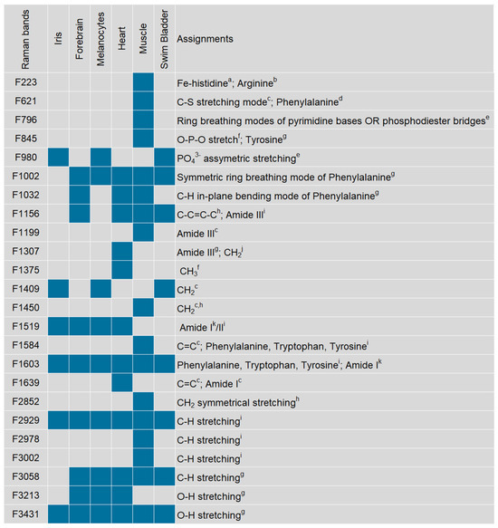 Baseline Raman Spectral Fingerprints of Zebrafish Embryos and Larvae