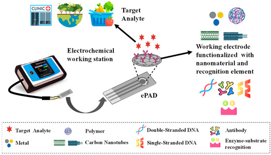 Recent Advances in the Fabrication and Application of Electrochemical ...