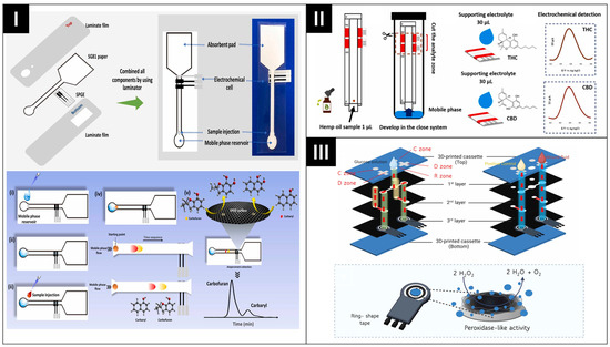 Recent Advances in the Fabrication and Application of Electrochemical ...