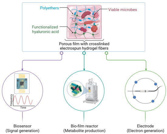 Patent Overview of Innovative Hyaluronic Acid-Based Hydrogel Biosensors