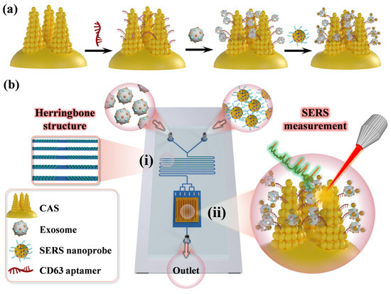 Integrated SERS-Microfluidic Sensor Based on Nano-Micro Hierarchical ...