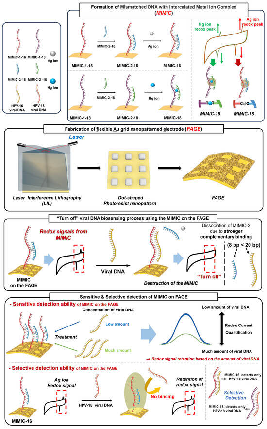 Flexible Electrochemical Biosensor Using Nanostructure-Modified Polymer Electrode for Detection ...
