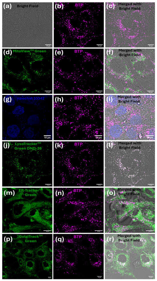 Exploring Imaging Applications of a Red-Emitting π-Acceptor (π-A ...