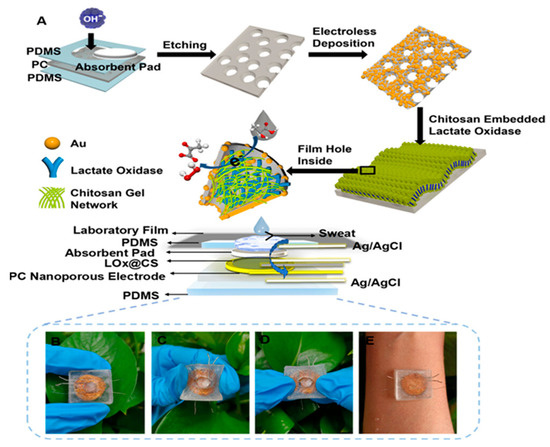 Recent Status on Lactate Monitoring in Sweat Using Biosensors: Can This ...