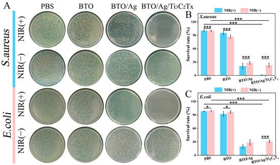 High-Performance Photocatalytic Multifunctional Material Based on ...