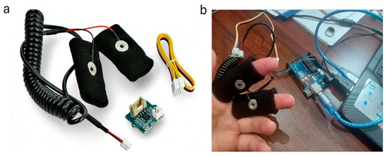 Stress Monitoring in Pandemic Screening: Insights from GSR Sensor and ...