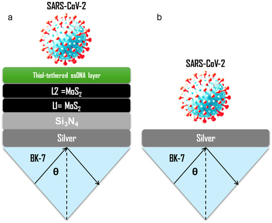 SPR Biosensor Based on Bilayer MoS2 for SARS-CoV-2 Sensing