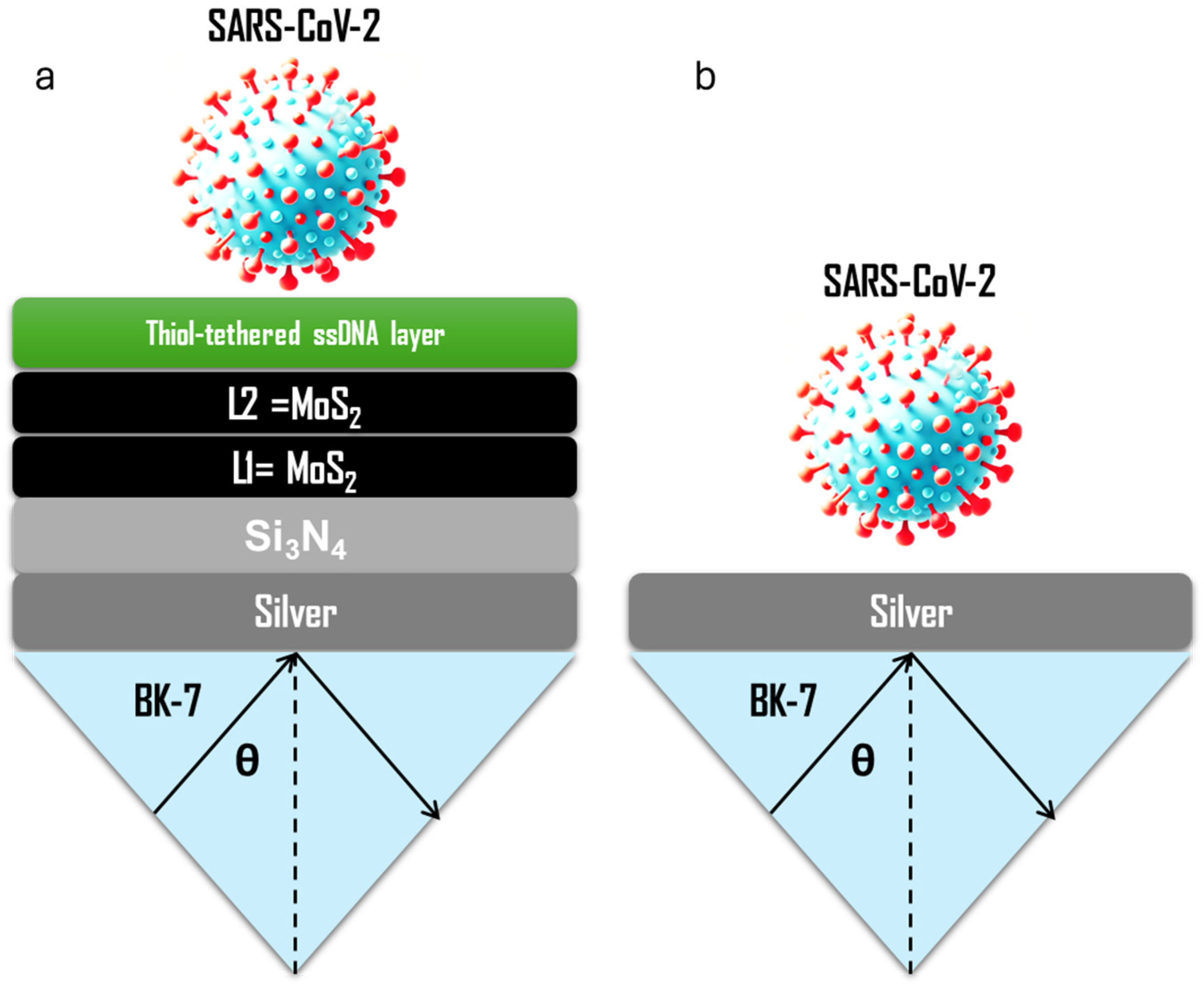 SPR Biosensor Based on Bilayer MoS2 for SARS-CoV-2 Sensing