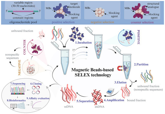 Research Progress in Small-Molecule Detection Using Aptamer-Based SERS ...
