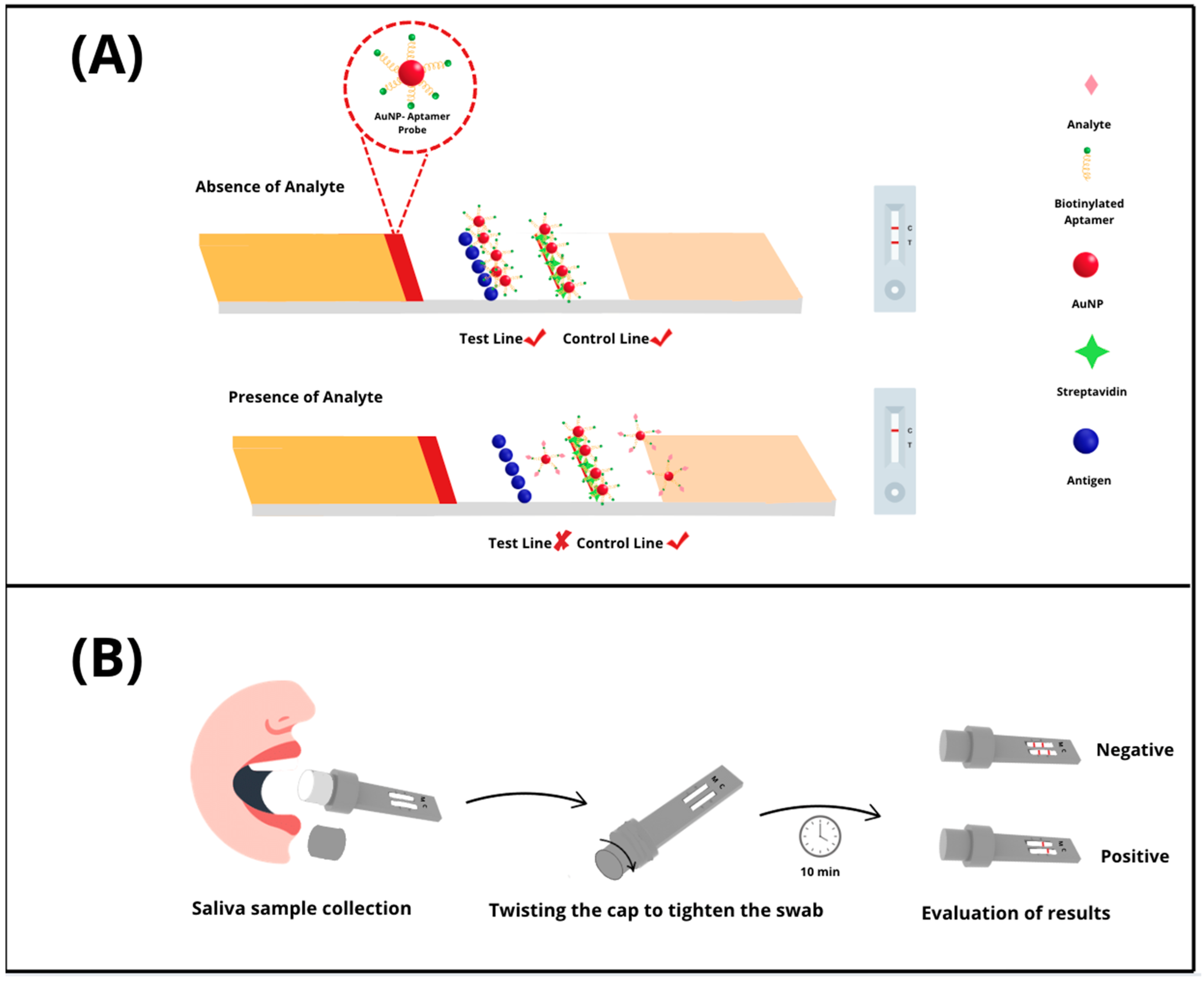 Non-Invasive Point-of-Care Detection of Methamphetamine and Cocaine via Aptamer-Based Lateral ...