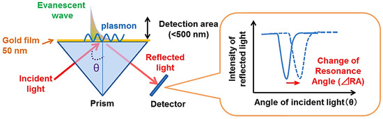 Surface Plasmon Resonance-Based Biodetection Systems: Principles ...