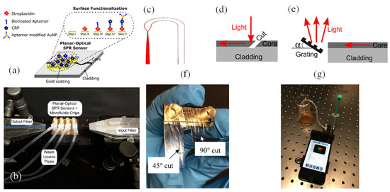 Surface Plasmon Resonance-Based Biodetection Systems: Principles, Progress and Applications—A ...