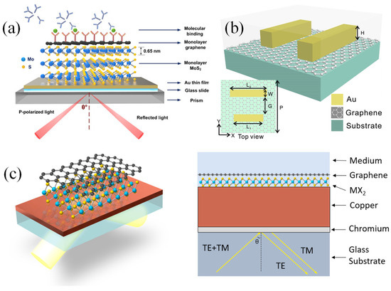Surface Plasmon Resonance-Based Biodetection Systems: Principles ...