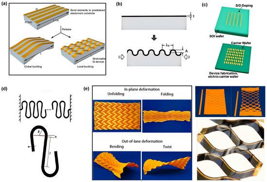 Wearable Sensors for Plants: Status and Prospects