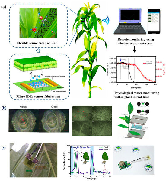 Wearable Sensors for Plants: Status and Prospects