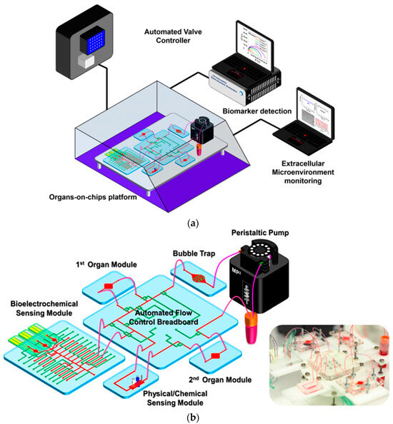 Recent Progress in PDMS-Based Microfluidics Toward Integrated Organ-on-a-Chip Biosensors and ...