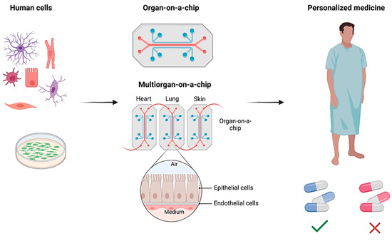 Recent Progress in PDMS-Based Microfluidics Toward Integrated Organ-on ...