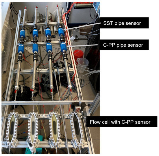 In Situ Biofilm Monitoring Using a Heat Transfer Sensor: The Impact of ...