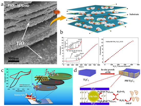 Recent Advances in MXene-Based Electrochemical Sensors