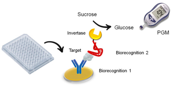The Personal Glucose Meter as the Measurement Principle in Point-of ...