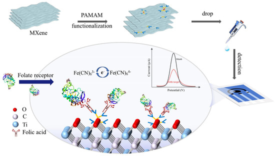 MXene-Based Electrochemical Biosensors: Advancing Detection Strategies ...
