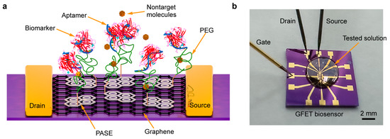 Aptamer-Based Graphene Field-Effect Transistor Biosensor for Cytokine Detection in Undiluted ...