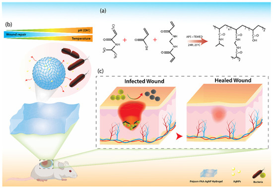 Advances in Wearable Biosensors for Wound Healing and Infection Monitoring